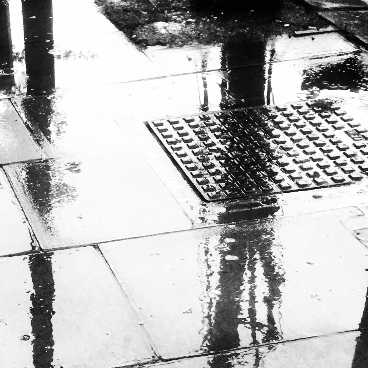 Alison Low Madigan – Slinking shadows, water ripples, city streets